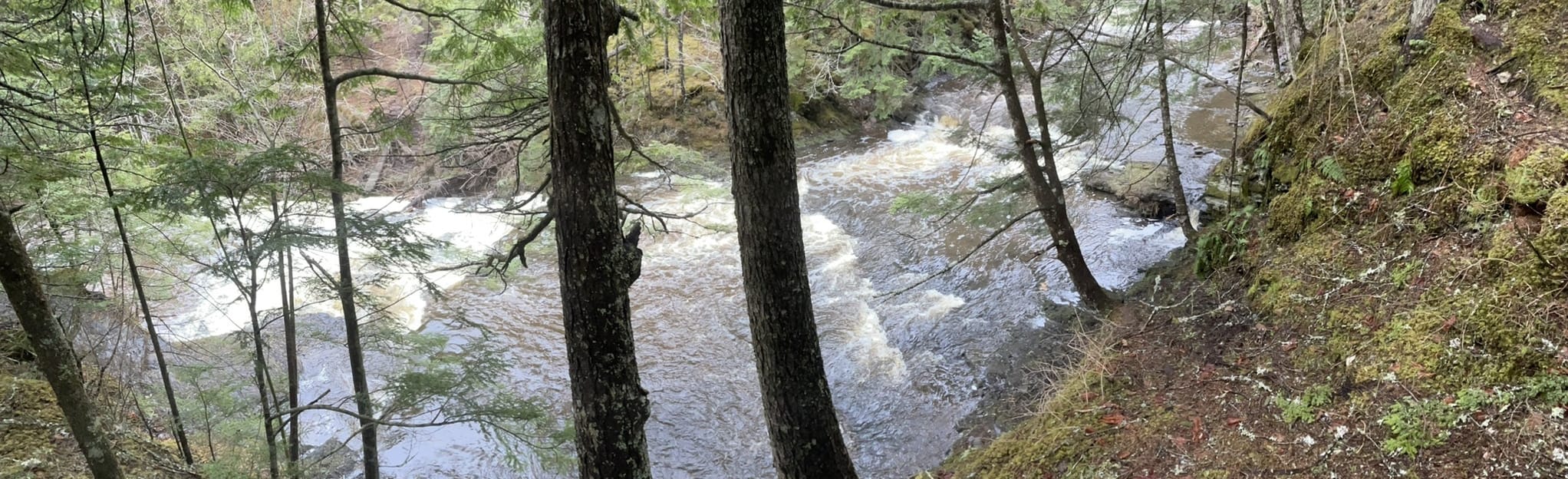 East Noel River Falls, Nova Scotia, Canada - 13 Reviews, Map | AllTrails