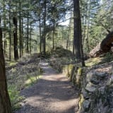 Tickle Creek Trail, Oregon - 381 Reviews, Map | AllTrails