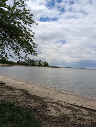 Best Hikes and Trails in Ferry Point Park | AllTrails