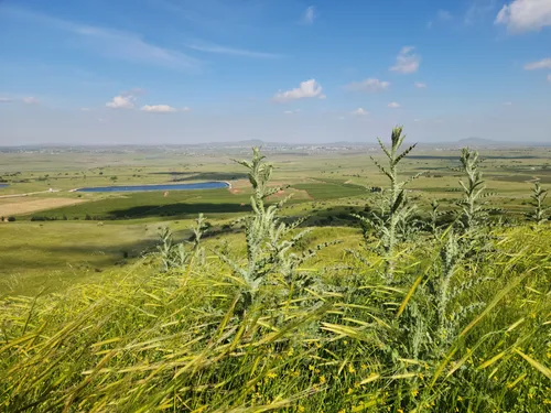 Best Hikes and Trails in Odem Forest | AllTrails