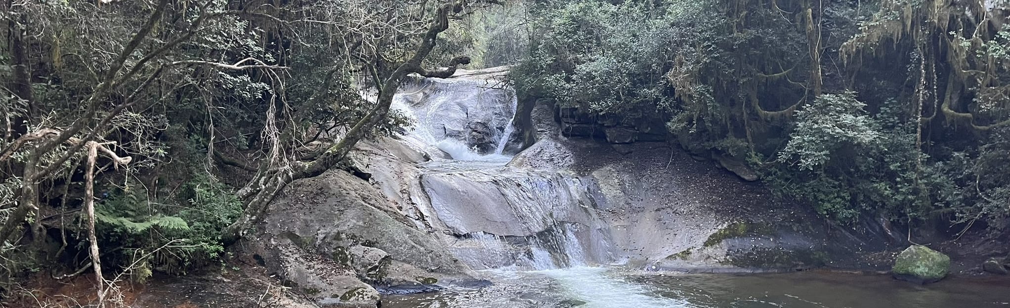 Magoebaskloof Hiking trail: 9 Reviews, Map - Limpopo, South Africa ...