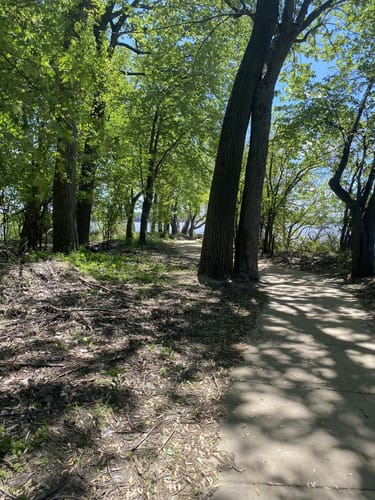 Best Hikes and Trails in Edward "Ted" and Pat Jones-Confluence Point ...