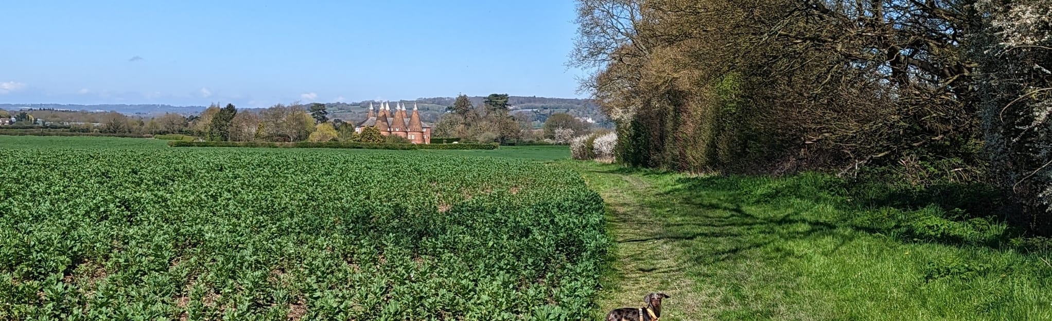 Golden Green Circular, Kent, England - 18 Reviews, Map | AllTrails