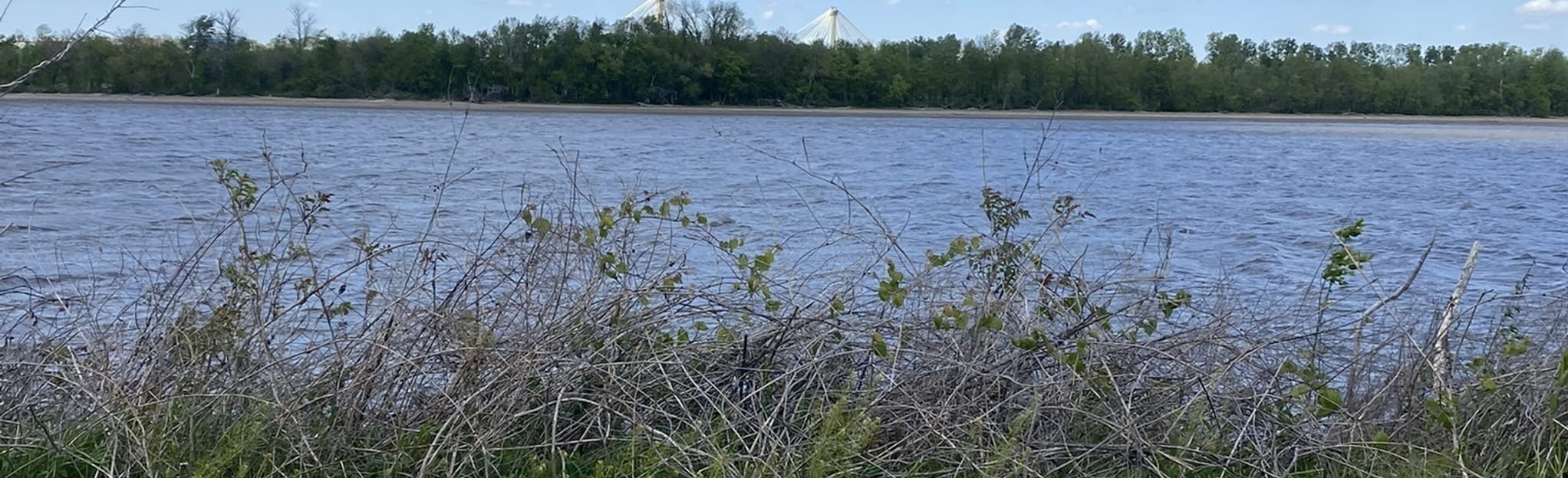 Audubon Center Trail Loop, Missouri - 57 Reviews, Map | AllTrails