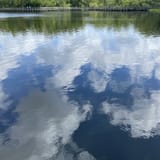 Largo Nature Preserve Loop, Florida - 402 Reviews, Map | AllTrails