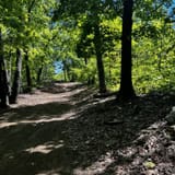 Bench Trail, Arkansas - 511 Reviews, Map | AllTrails