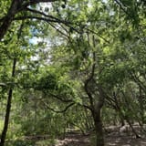 Largo Nature Preserve Loop, Florida - 402 Reviews, Map | AllTrails