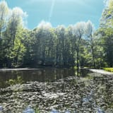 Bench Trail, Arkansas - 511 Reviews, Map | AllTrails