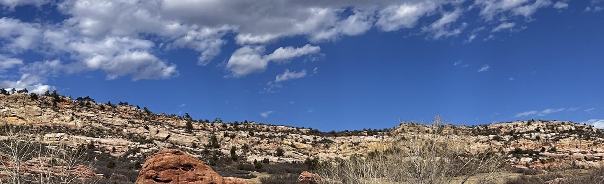 Coyote Song and Prairie Falcon Loop: 99 Reviews, Map - Colorado | AllTrails