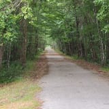 Good Neighbor Trail, Florida - 165 Reviews, Map | AllTrails