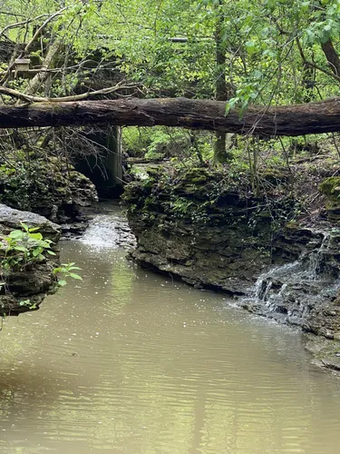 10 Best Hikes and Trails in Bernheim Arboretum and Research Forest ...