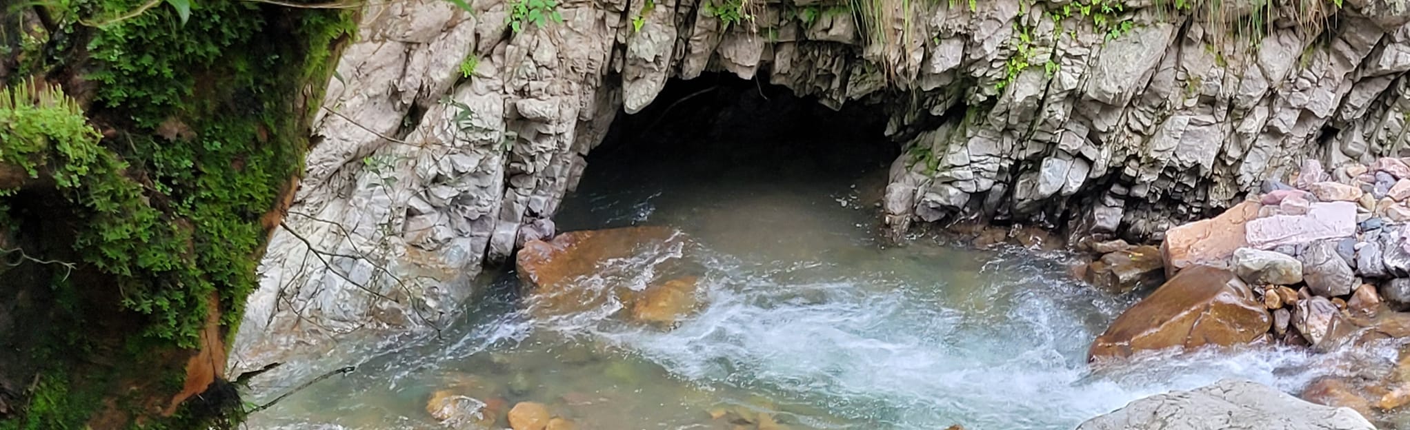 Cascadas de Lesser: 15 fotos - Provincia de Salta, Argentina | AllTrails