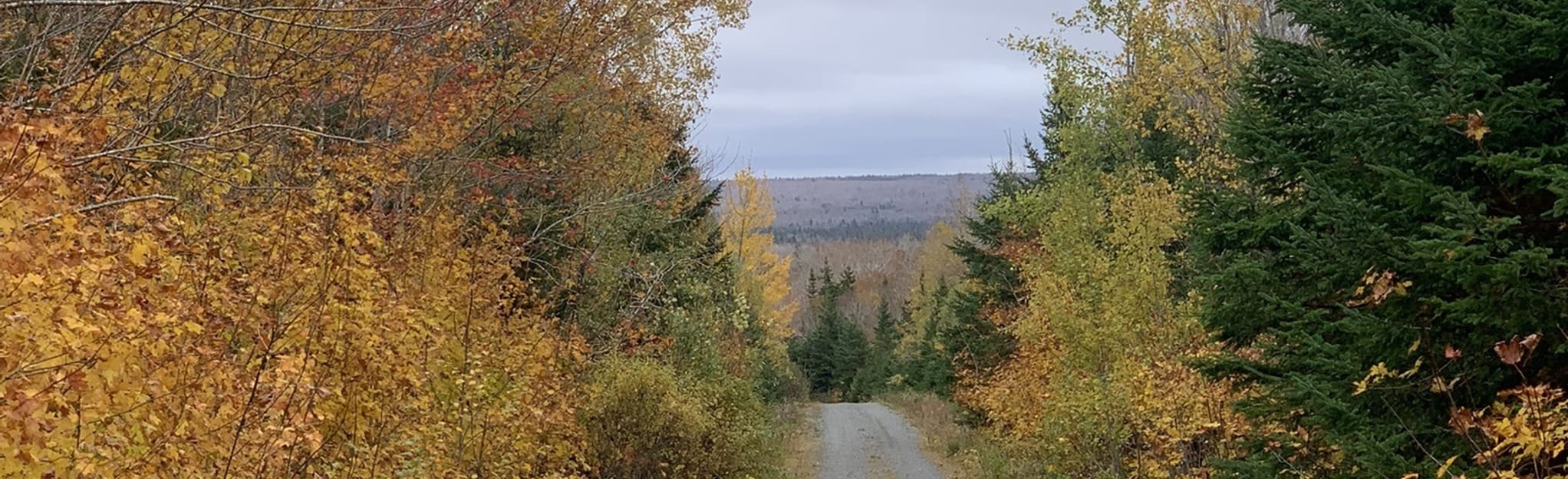 Sandy Cope Loop, Nova Scotia, Canada - 5 Reviews, Map | AllTrails