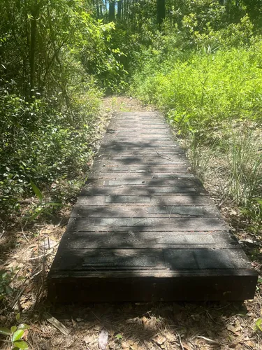Best Hikes and Trails in Aiken State Park | AllTrails