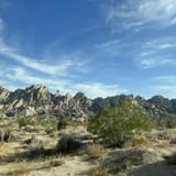 Christmas Tree Pass, Nevada - 65 Reviews, Map | AllTrails