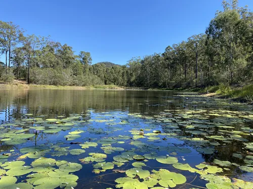Best Hikes and Trails in Spring Mountain Forest Park | AllTrails