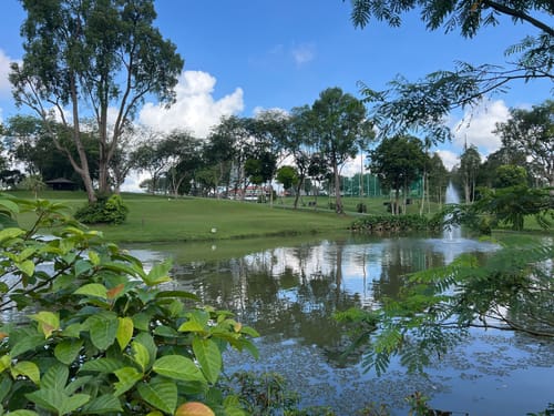 2023 Best Forest Trails in MacRitchie Reservoir Park | AllTrails