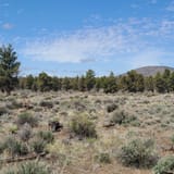 Fat Rabbit Loop Trail, Oregon - 450 Reviews, Map | AllTrails