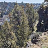 Fat Rabbit Loop Trail, Oregon - 450 Reviews, Map | AllTrails