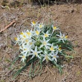 Fat Rabbit Loop Trail, Oregon - 450 Reviews, Map | AllTrails