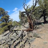 Fat Rabbit Loop Trail, Oregon - 450 Reviews, Map | AllTrails