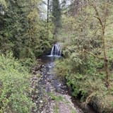 Hidden Falls Nature Park Trail, Oregon - 503 Reviews, Map | AllTrails