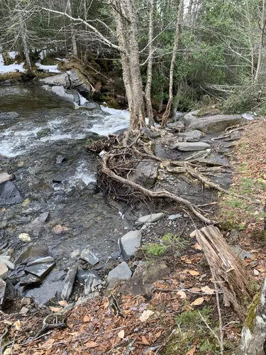 Best Hikes and Trails in Steam Mill Brook Wildlife Management Area ...