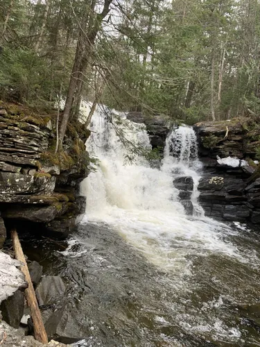 Best Hikes and Trails in Steam Mill Brook Wildlife Management Area ...