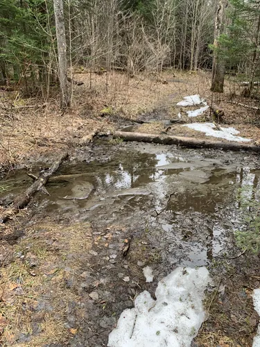 Best Hikes and Trails in Steam Mill Brook Wildlife Management Area ...