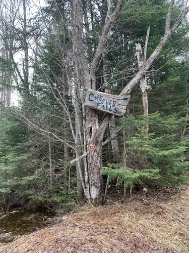 Best Hikes and Trails in Steam Mill Brook Wildlife Management Area ...