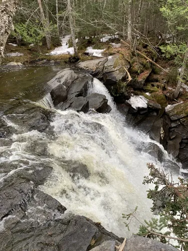 Best Hikes and Trails in Steam Mill Brook Wildlife Management Area ...