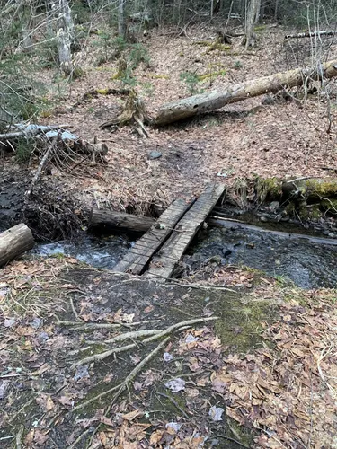 Best Hikes and Trails in Steam Mill Brook Wildlife Management Area ...