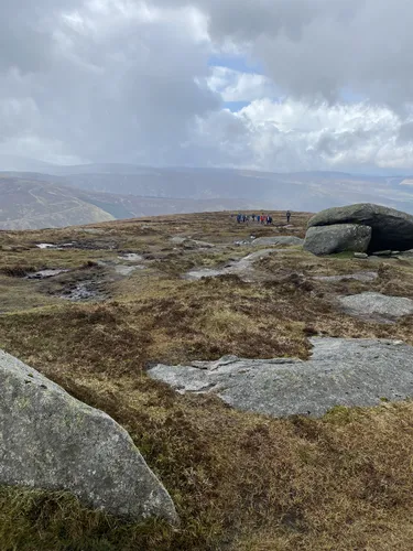 Best Forest Trails in Roundwood | AllTrails