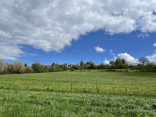 Best Hikes and Trails in Mertzig | AllTrails