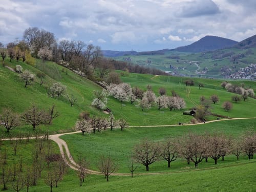 2023 Best Historic Site Trails in Gipf-Oberfrick | AllTrails