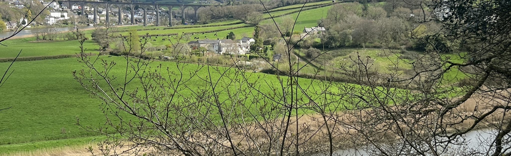 Cotehele Circular, Cornwall, England - 23 Reviews, Map | AllTrails