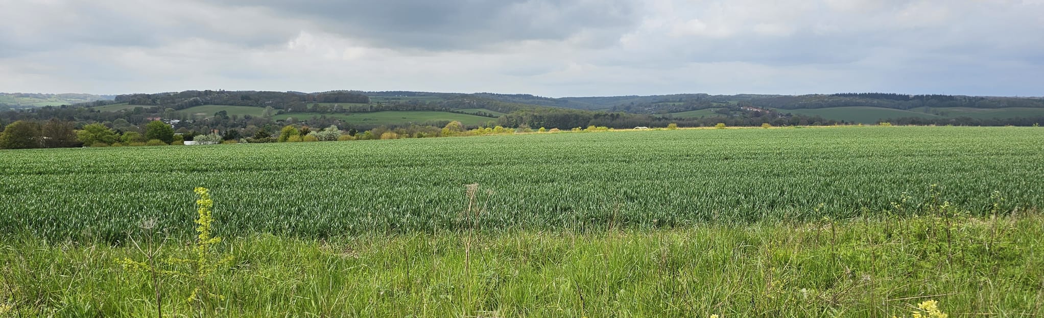 AllTrails | Canterbury Cathedral Pilgrimage from Shepherdswell: 8 ...