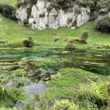 Blue Spring from Leslie Road Trailhead via Te Waihou Walkway, Waikato ...