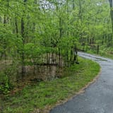 Lenape Trail , New Jersey - 496 Reviews, Map | AllTrails
