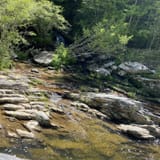 Spence Ridge Trail, North Carolina - 317 Reviews, Map | AllTrails