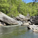 Spence Ridge Trail, North Carolina - 317 Reviews, Map | AllTrails