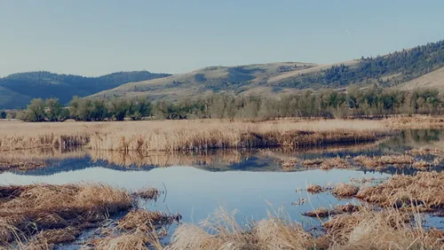 Best Hikes and Trails in Ladd Marsh Wildlife Area | AllTrails