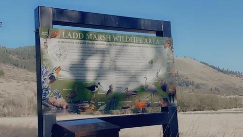 Best Hikes and Trails in Ladd Marsh Wildlife Area | AllTrails