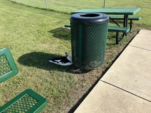 Best Hikes and Trails in Lake Kyle Park | AllTrails