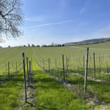 Boxley and the North Downs Circular, Kent, England - 425 Reviews, Map ...