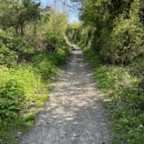 Boxley and the North Downs Circular, Kent, England - 425 Reviews, Map ...