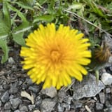 Boxley and the North Downs Circular, Kent, England - 425 Reviews, Map ...