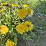 Boxley and the North Downs Circular, Kent, England - 425 Reviews, Map ...