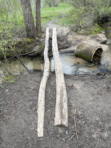 Best Hikes and Trails in Crahen Valley Park | AllTrails