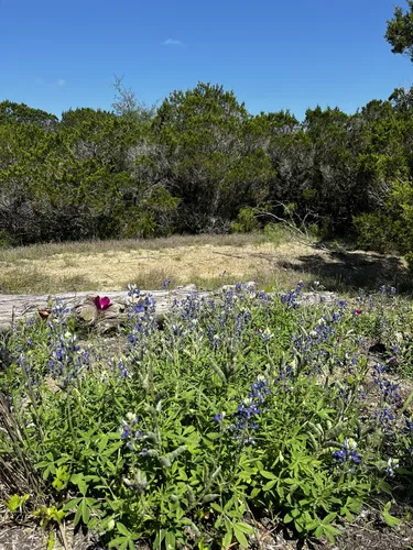 Best Hikes and Trails in Stephenson Preserve | AllTrails